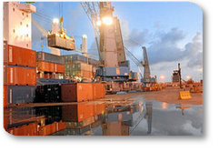 Import/Export Consultant - mi Trans International - Connecting Nations